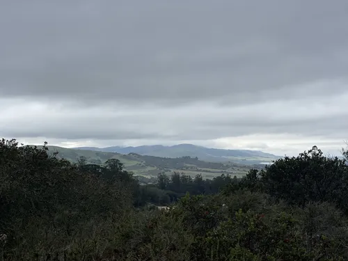 Best Hikes and Trails in Orcutt Community Park | AllTrails