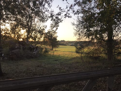 Best Hikes and Trails in Richfield Park | AllTrails