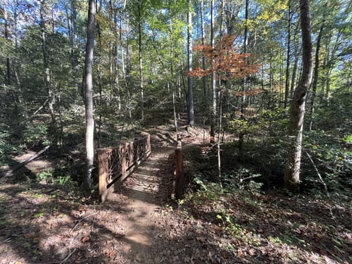 Best 10 Hikes and Trails in Lake James State Park | AllTrails