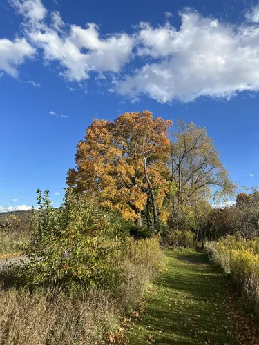 10 Best Trails and Hikes in State College | AllTrails