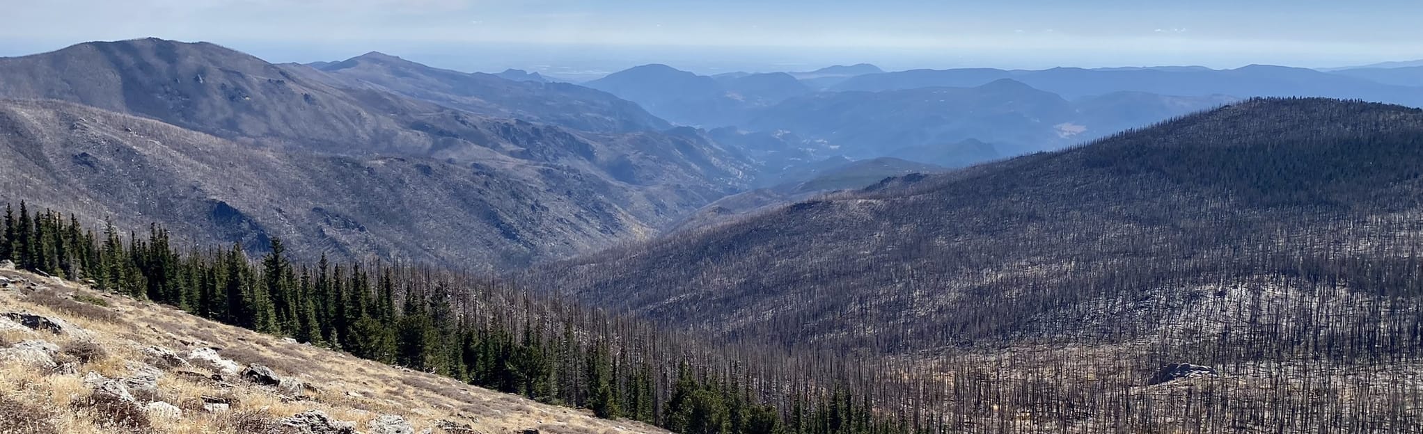 Signal Mountain Trail, Colorado - 43 Reviews, Map | AllTrails