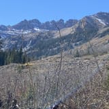 River Run Trail , Colorado - 173 Reviews, Map | AllTrails