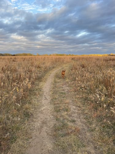 Best Hikes and Trails in Sand Prairie Wildlife Management Area | AllTrails