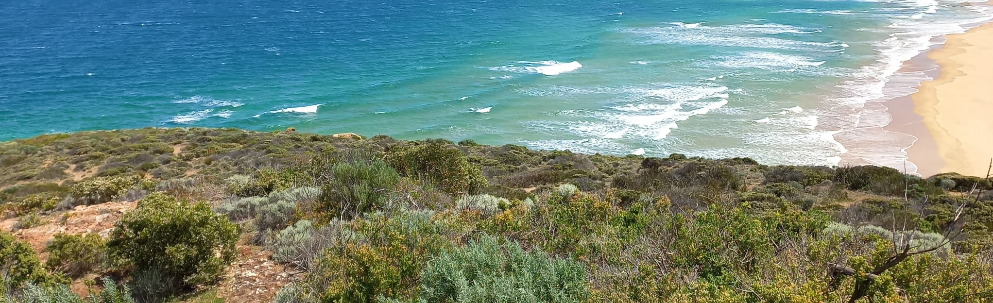 Parsons Beach via Heysen Trail: 12 Reviews, Map - South Australia ...