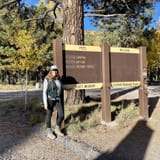 Lockett Meadow Inner Basin Loop, Arizona - 727 Reviews, Map | AllTrails