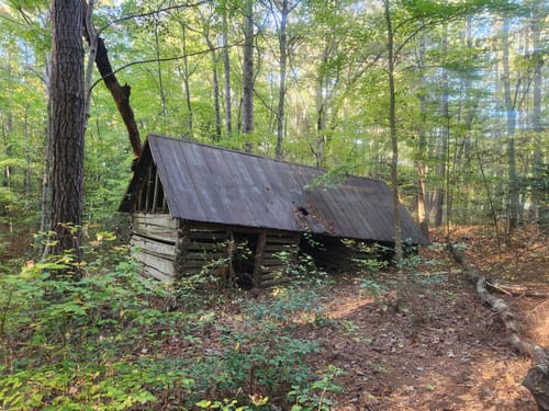 Best Hikes and Trails in Buck Spring Plantation | AllTrails