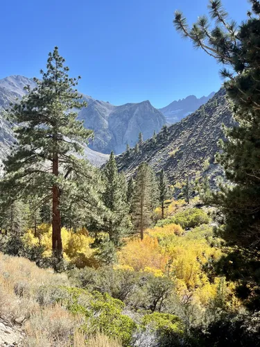 10 Best Trails and Hikes in Big Pine | AllTrails