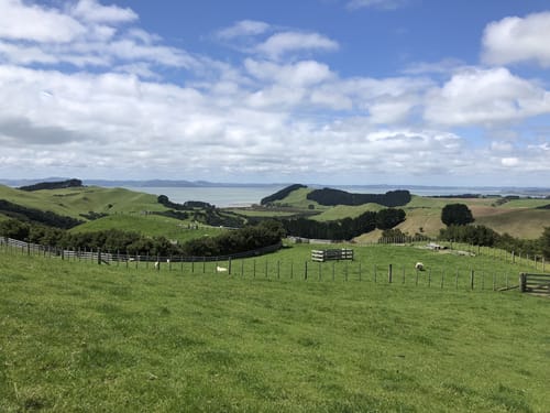 Best Hikes and Trails in Helensville | AllTrails