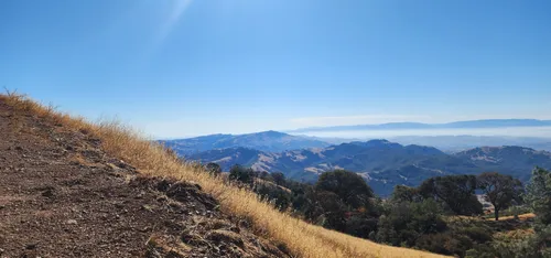 Best Camping Trails in Mount Diablo State Park | AllTrails