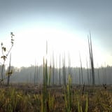 Redmond Ridge Trail, Washington - 72 Reviews, Map | AllTrails