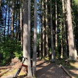 Redmond Ridge Trail, Washington - 72 Reviews, Map | AllTrails