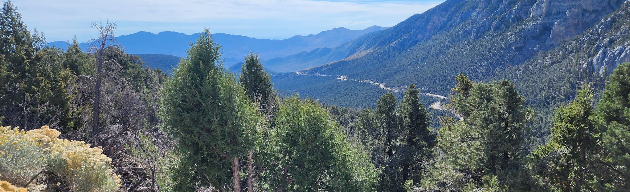 Mummy Spring Trail: 714 Reviews, Map - Nevada | AllTrails