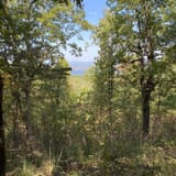 Lake Ouachita Vista Trail (LOViT), Arkansas - 85 Reviews, Map | AllTrails