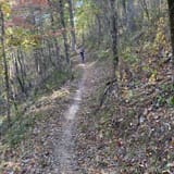 Lake Ouachita Vista Trail (LOViT), Arkansas - 85 Reviews, Map | AllTrails