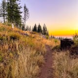 Hidden Falls via Tarbell Trail , Washington - 608 Reviews, Map | AllTrails