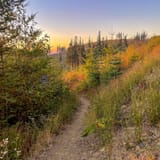 Hidden Falls via Tarbell Trail , Washington - 608 Reviews, Map | AllTrails