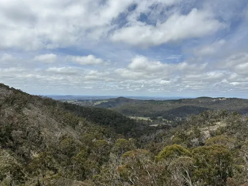 10 Best Walking Trails in Mount Canobolas State Conservation Area ...