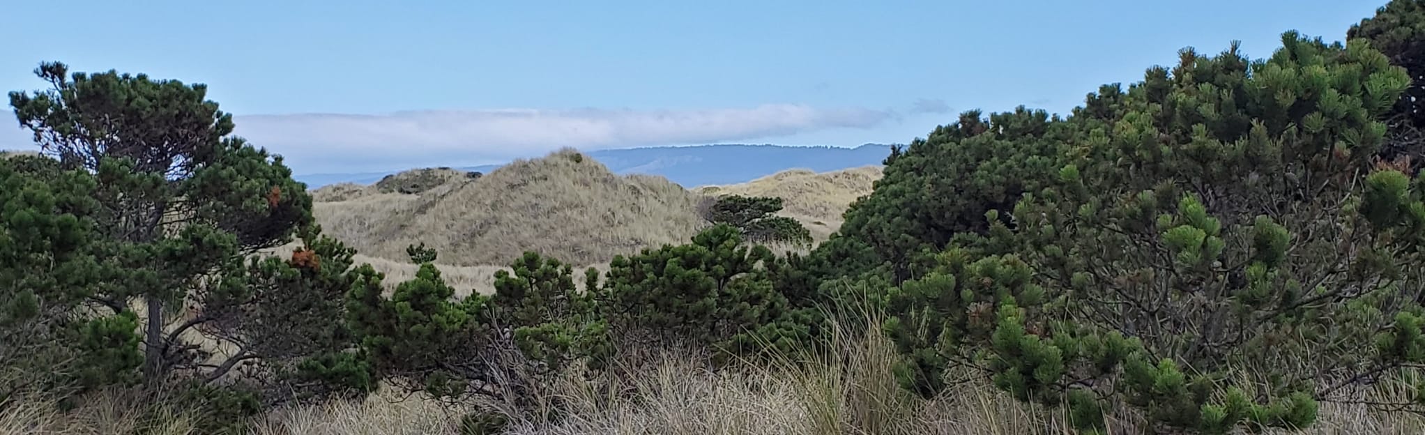 Manchester Beach Trail, California - 25 Reviews, Map | AllTrails