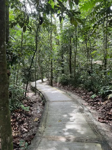 Best Hikes and Trails in Taman Rimba Bukit Kerinchi | AllTrails