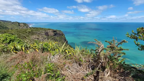 10 Best Hikes and Trails in Waitakere Ranges Regional Park | AllTrails