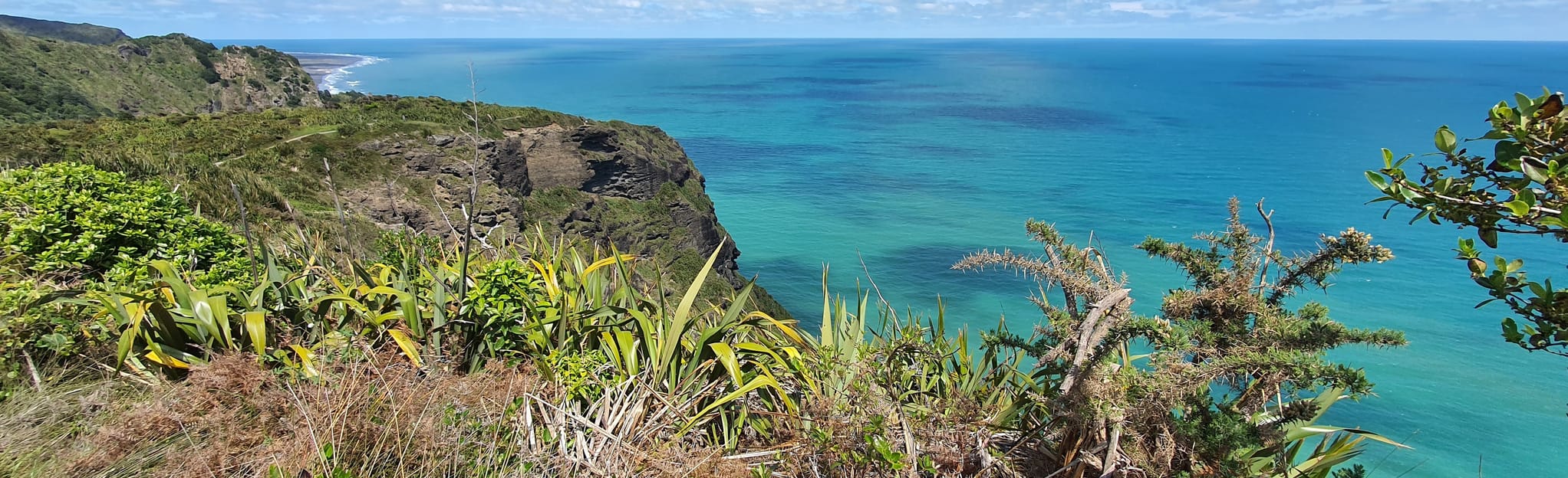 Log Race Road to Karekare Loop, Auckland, New Zealand - 252 Reviews ...