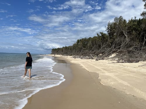 Best 10 Hikes and Trails in Moreton Bay Marine Park | AllTrails