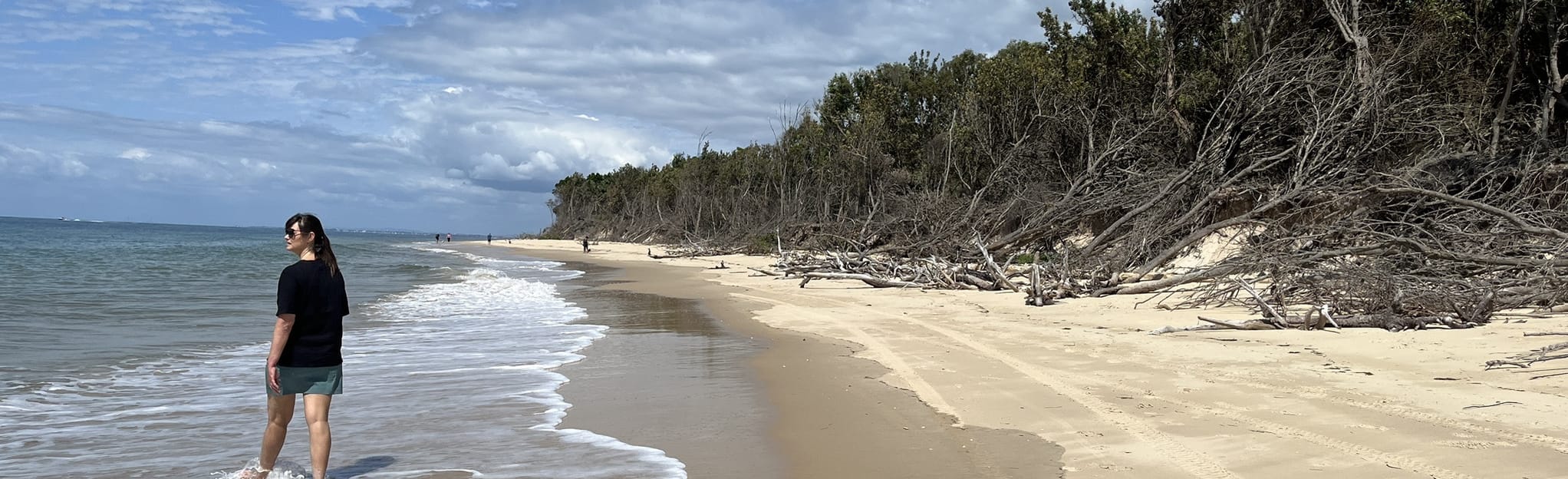 Bribie Island Surfside Beach Walk: 20 Reviews, Map - Queensland ...