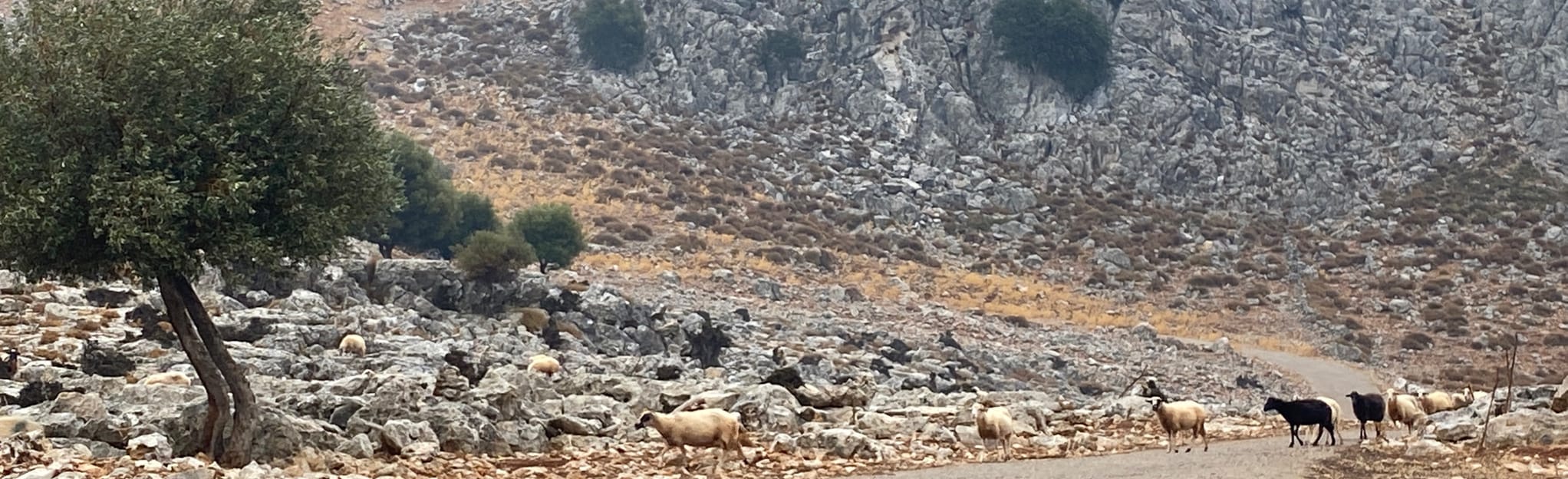 Archangelos - Agathi Beach, Rhodes, Greece - 3 Reviews, Map | AllTrails