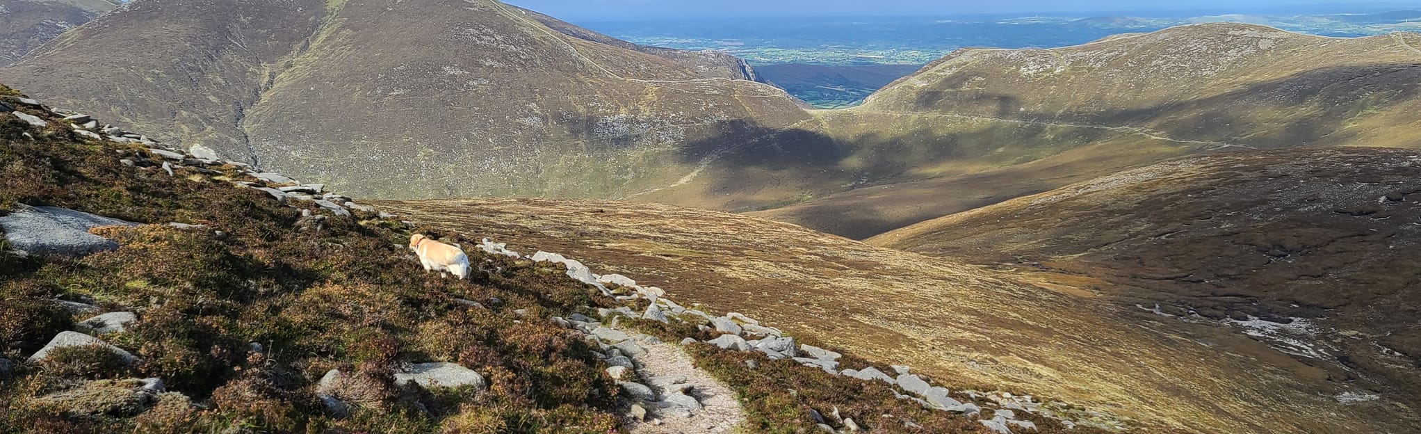 Slieve Beg and Cove Mountain, Ards and North Down, Northern Ireland ...