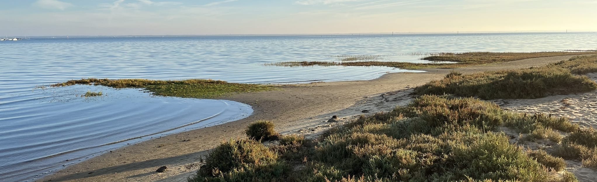 Sentier littoral : de La Teste de Buch à Gujan Mestras : 131 Photos ...