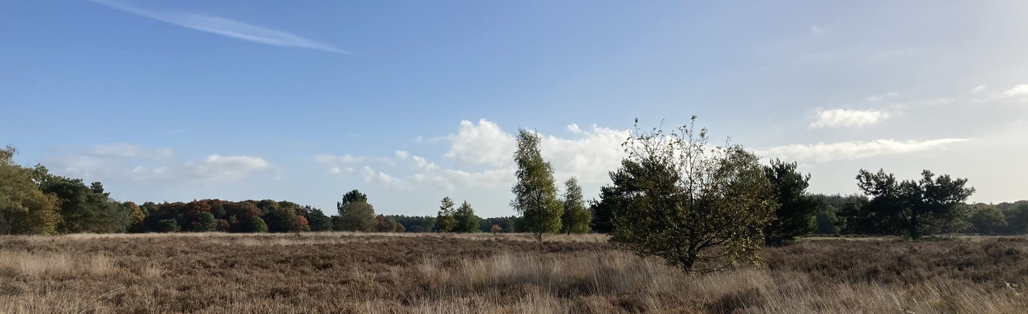 Rucphense Bossen, North Brabant, Netherlands - 5 Reviews, Map | AllTrails