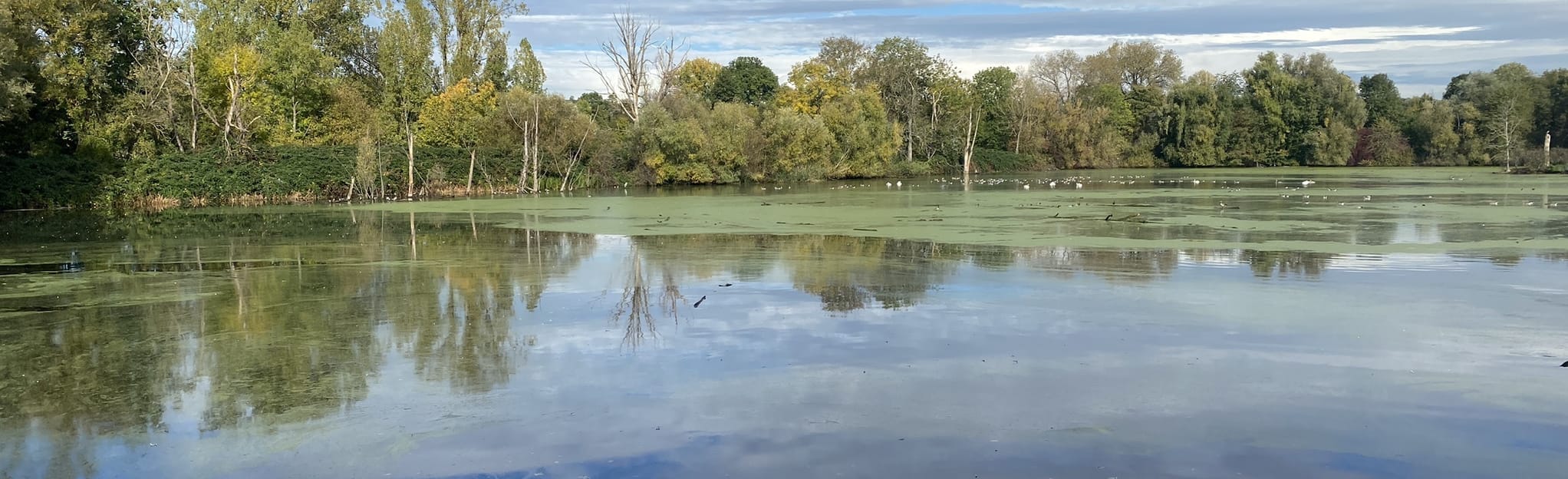 Von Benningen um den Pleidelsheimer Baggersee - Baden-Württemberg ...
