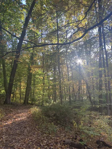 10 Best Historic Site Trails in Watchung Reservation | AllTrails