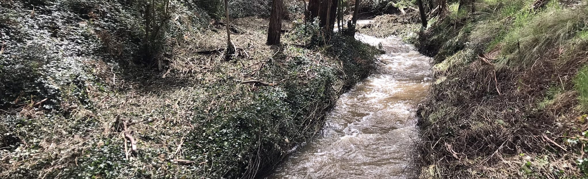 Gong Gong Reservoir to Western Freeway via Yarrowee River Trail: 39 ...