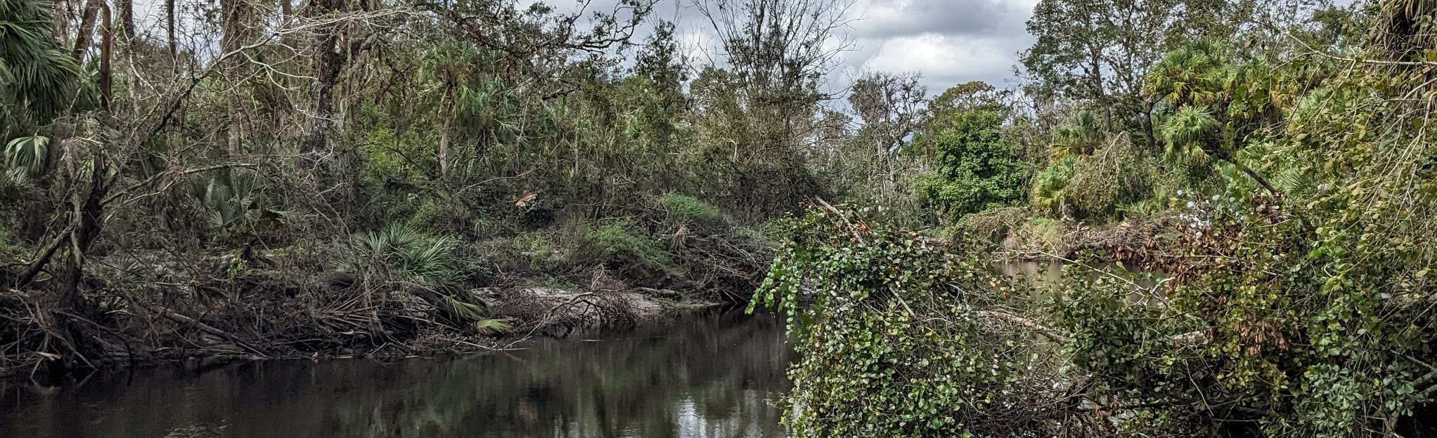 Rye Red Loop Trail, Florida - 104 Reviews, Map | AllTrails