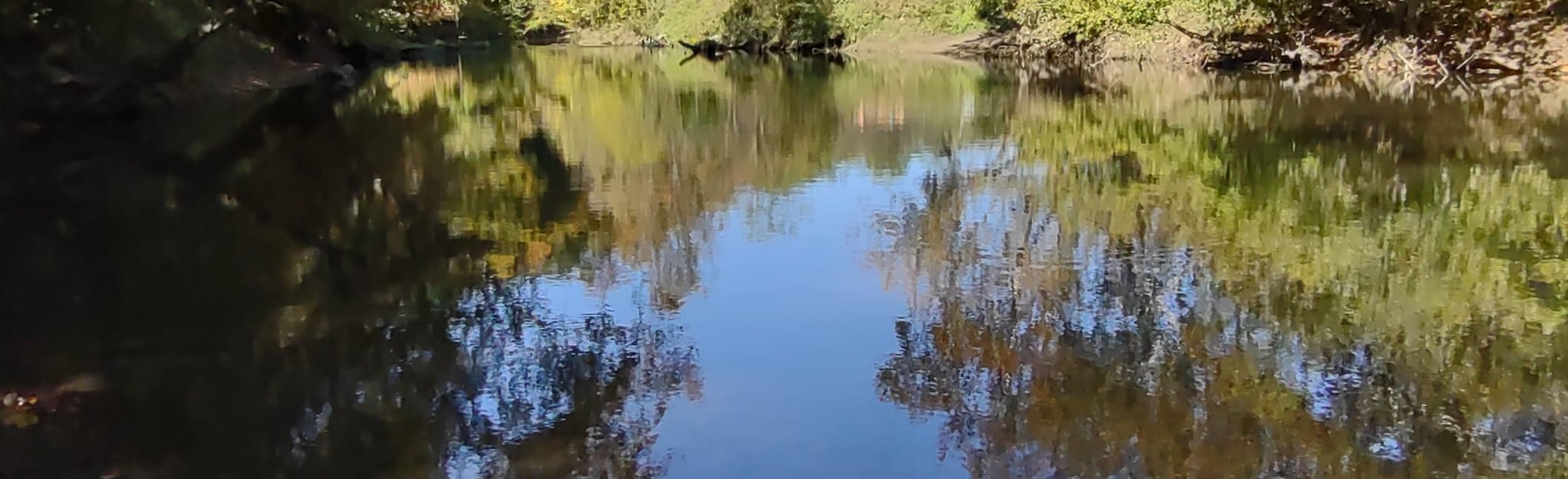 Natural Bridge Trail and Rock Shelter Trail Loop: 1256 Reviews, Map ...