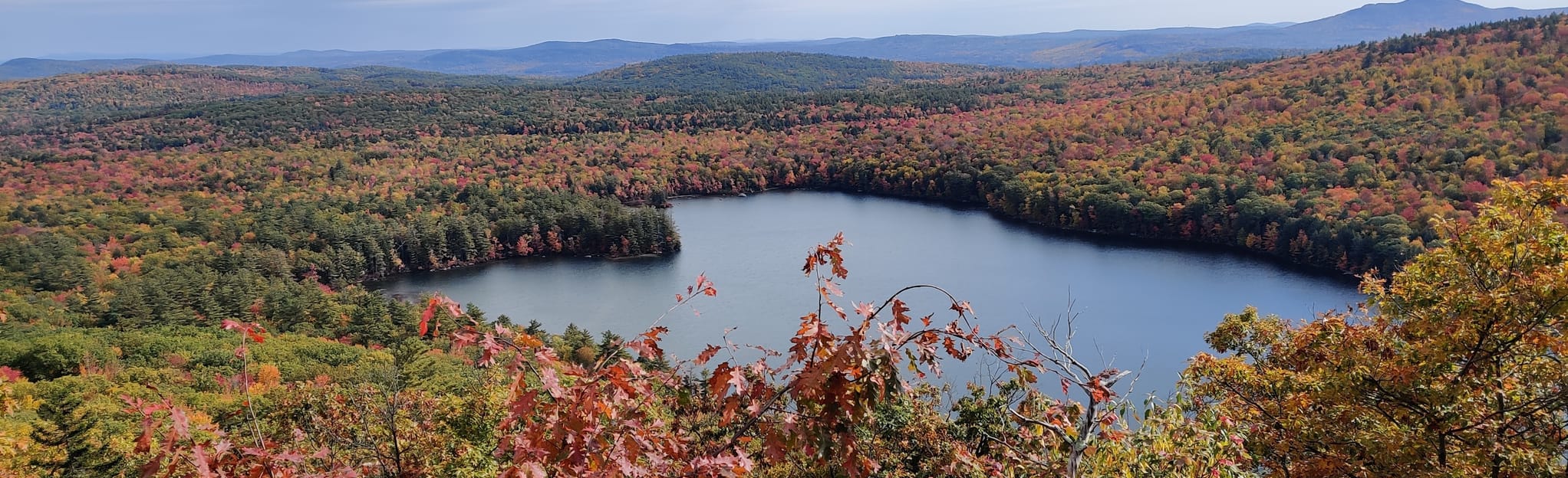 Bald Mountain via Tamposi Trail Loop - New Hampshire | AllTrails