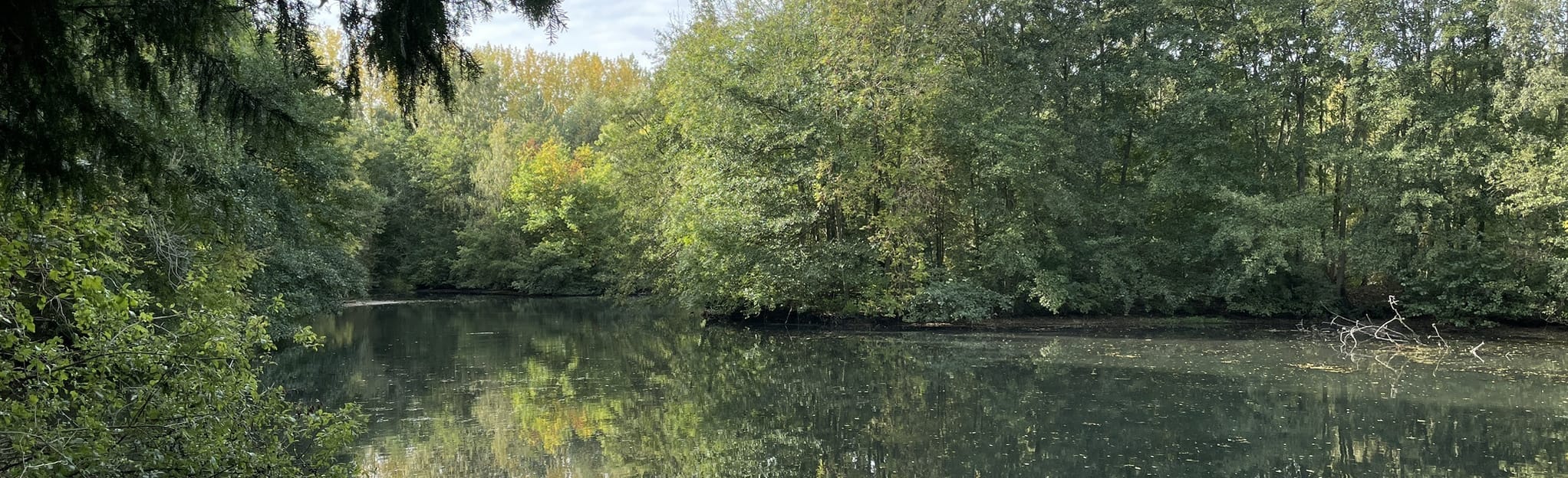 Elvaston Castle Nature Reserve, Derbyshire, England - 93 Reviews, Map ...