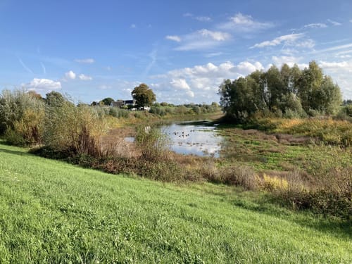 2023 Best Bike Touring Trails in Lent | AllTrails