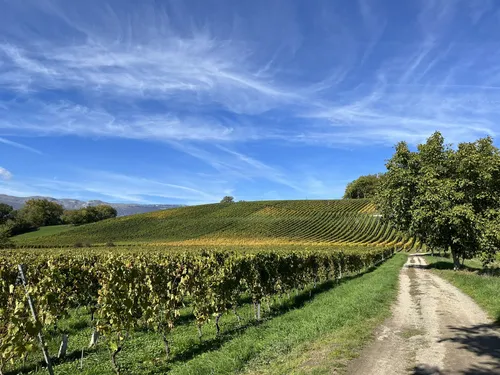 10 Best Trails and Hikes in Geneva | AllTrails