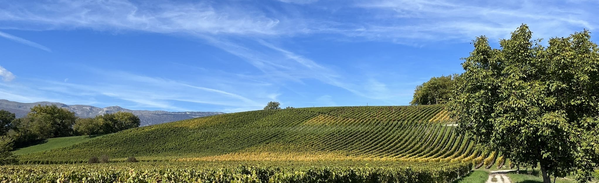 Bois de Merdisel - Château des Bois via Satigny, Geneva, Switzerland ...