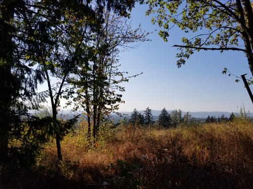 Best Hikes and Trails in Kelly Butte Natural Area | AllTrails