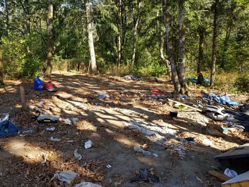 Best Hikes and Trails in Kelly Butte Natural Area | AllTrails