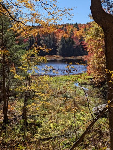 Best Hikes and Trails in Bear Swamp | AllTrails