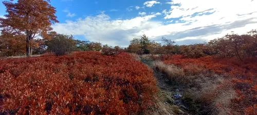 10 Best Trails and Hikes in State College | AllTrails