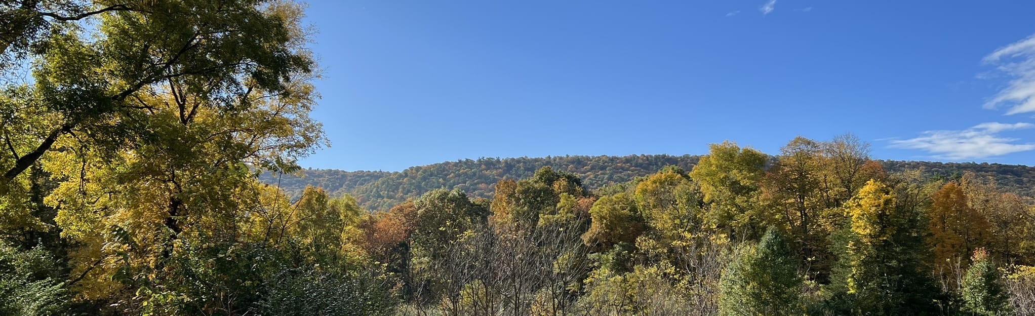 Musser, Mountain Mist, Lone Pine, Deer Path, and Mid-State Trail Loop ...