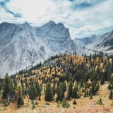 Pedley Pass and Pedley Ridge, British Columbia, Canada - 259 Reviews ...