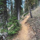 Pedley Pass and Pedley Ridge, British Columbia, Canada - 259 Reviews ...