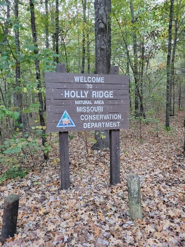 Best Hikes and Trails in Holly Ridge Conservation Area | AllTrails