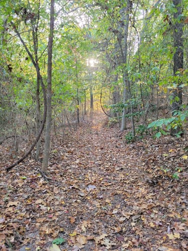 Best Hikes and Trails in Holly Ridge Conservation Area | AllTrails